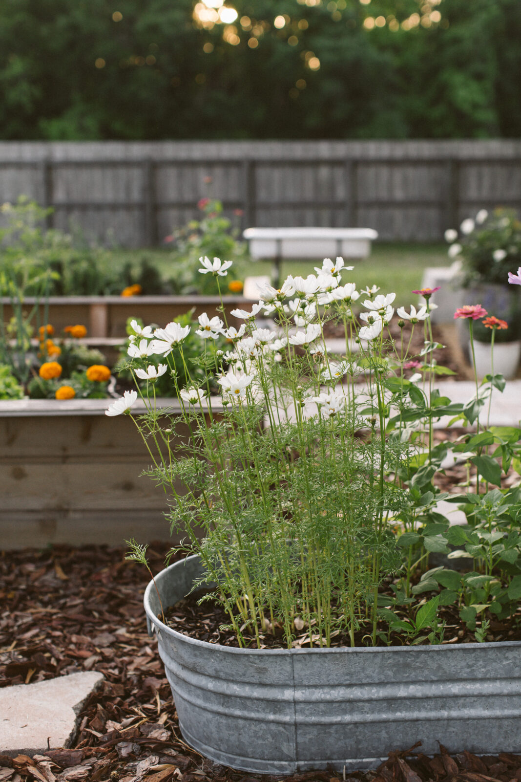 Spring Garden Tour and Q&A | Laine and Layne