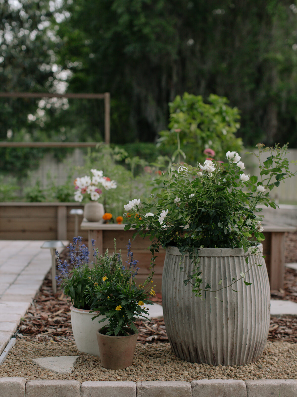 Spring Garden Tour and Q&A | Laine and Layne