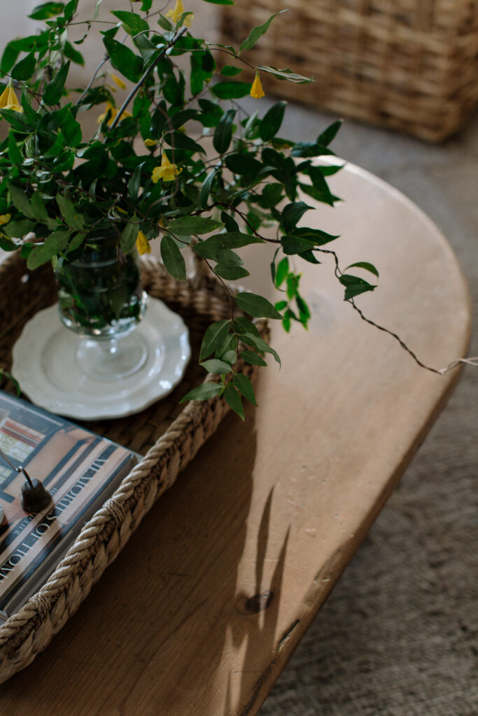 Spring Living Room, Fireplace Brick, Jute Rug Q&A | Laine and Layne